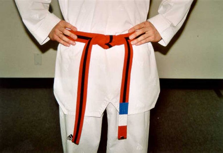 √ 10 Teknik Dasar Karate untuk Pemula beserta Gambarnya